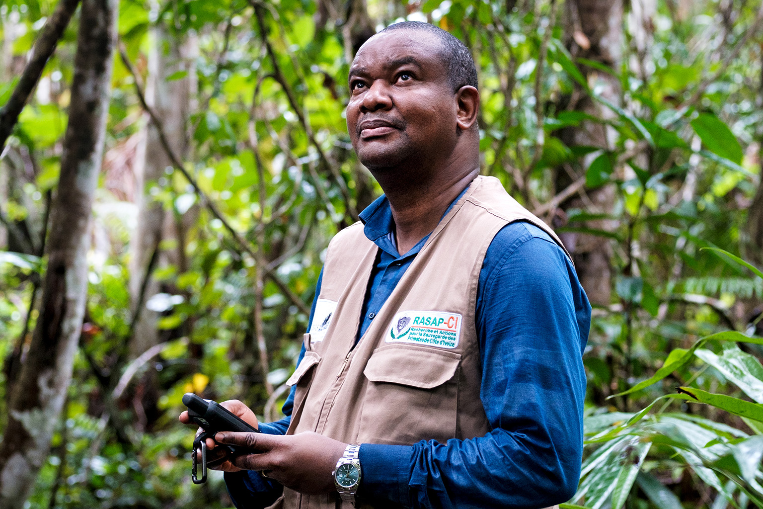 Turning poachers into protectors: Primatologist taps villagers’ knowledge to save vanishing ...